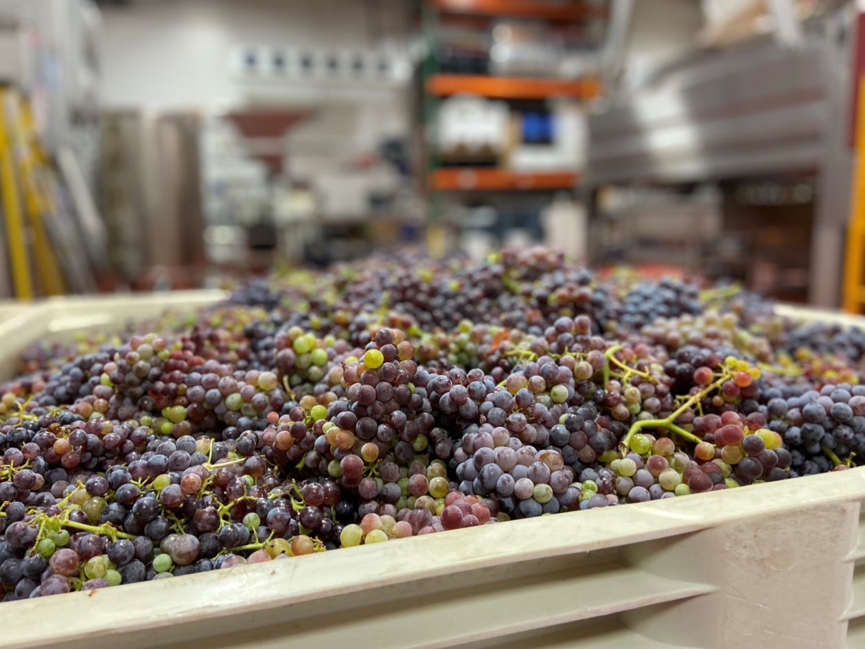 AvinoDos Wines – Boutique Napa Winery